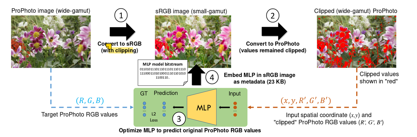GamutMLP:A Lightweight MLP for Color Loss Recovery(CVPR2023) - 知乎