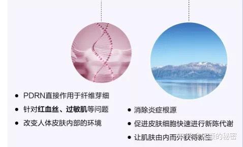 PDRN知多少 - 知乎