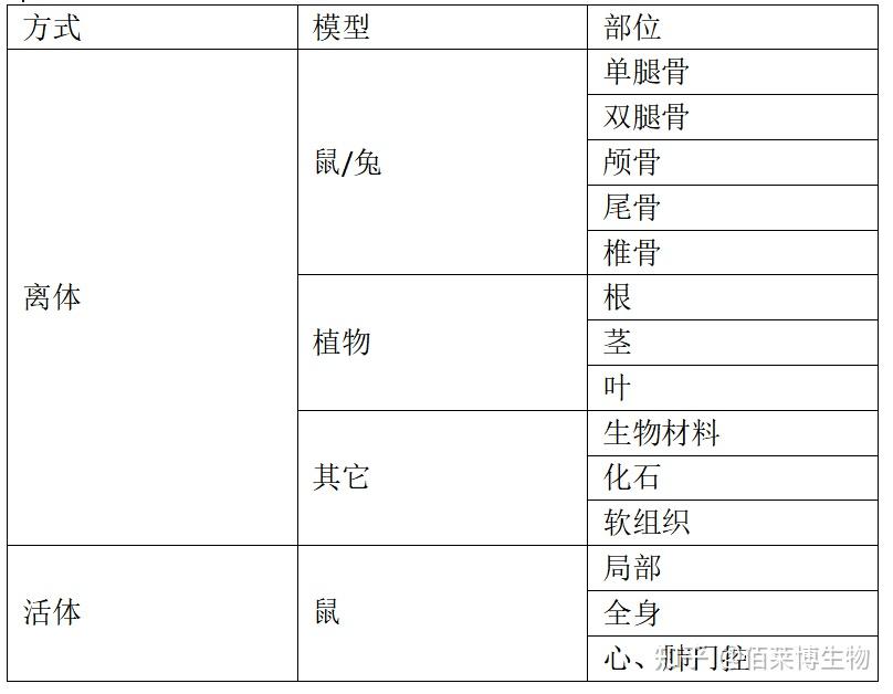 小动物CT（micro-CT）检测分析服务 - 知乎