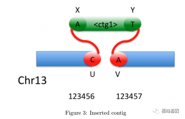 DNA 5. 基因组变异文件VCF格式详解 - 知乎