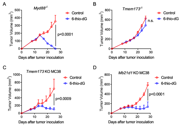 Cancer Cell | 端粒损伤激活抗肿瘤免疫应答机制 - 知乎