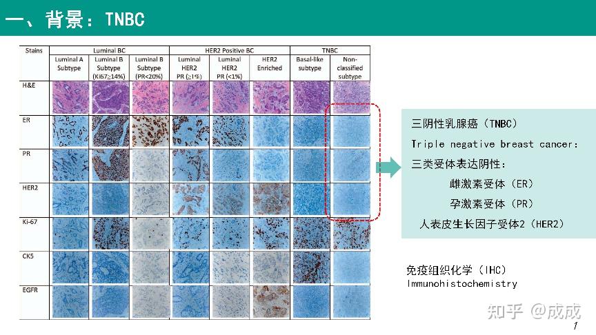 文献解读| TH1902，一种新的多西他赛肽偶联物，用于治疗sortilin阳性的三阴性乳腺癌 - 知乎