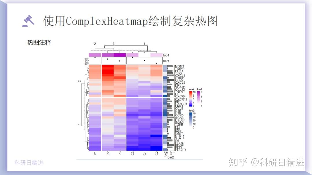 科研日精进生信第29课-《ComplexHeatmap包绘制复杂热图-1》 - 知乎
