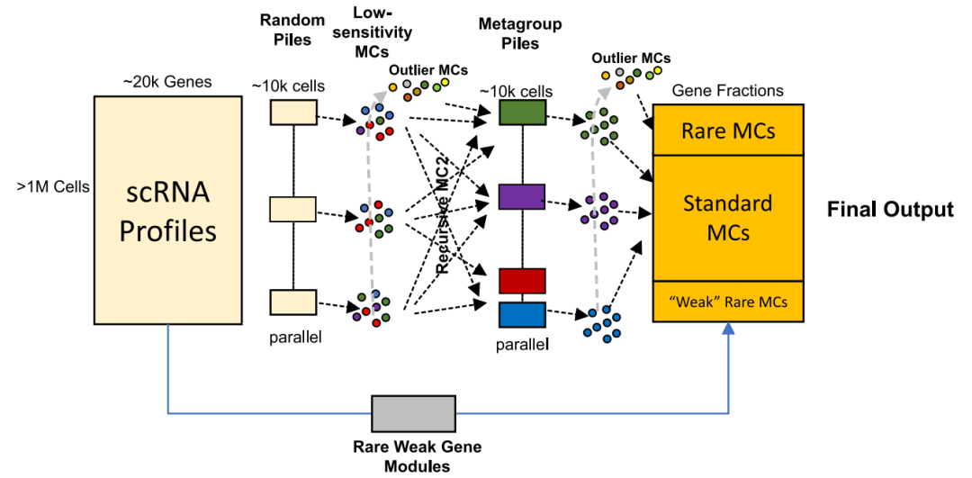时空及单细胞组学数据分析——解读生物信息，破解生命之谜 | 时空简讯48期 - 知乎