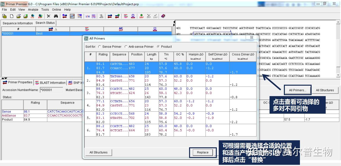 Primer Premier 6，3分钟教你完成引物设计（含软件安装） - 知乎