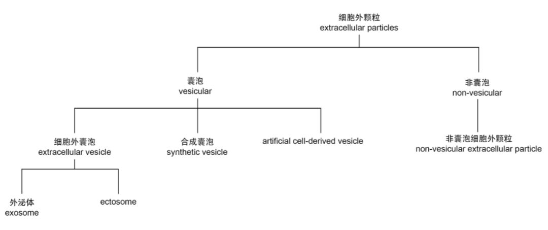 MISEV2023解读：全面认识细胞外囊泡 - 知乎