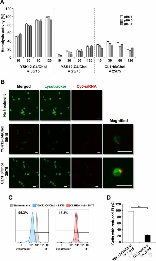 LNP如何平衡转染能力和细胞毒性 - 知乎