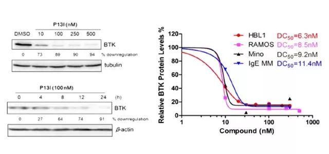 PROTAC 技术靶向降解 BTK | MedChemExpress - 知乎