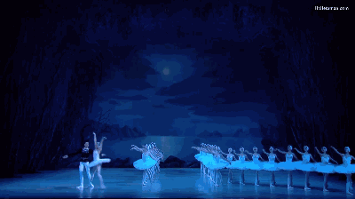 《天鹅湖》你可能真的没看懂 - 知乎