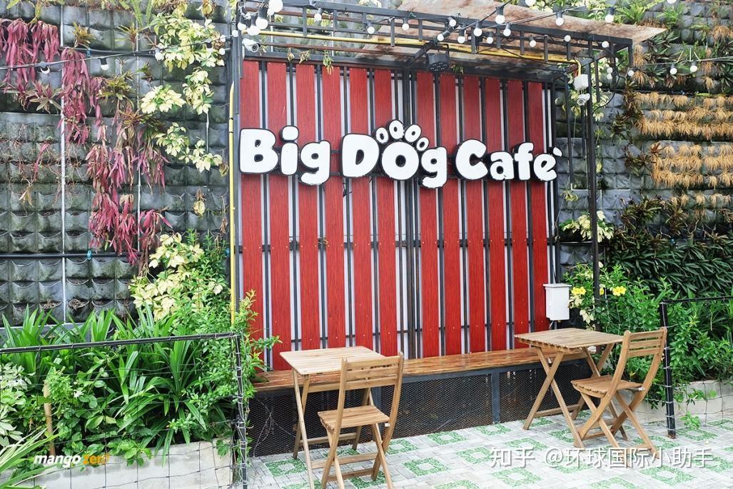 Big Dog Café | 曼谷最爱的狗狗聚集地 - 知乎