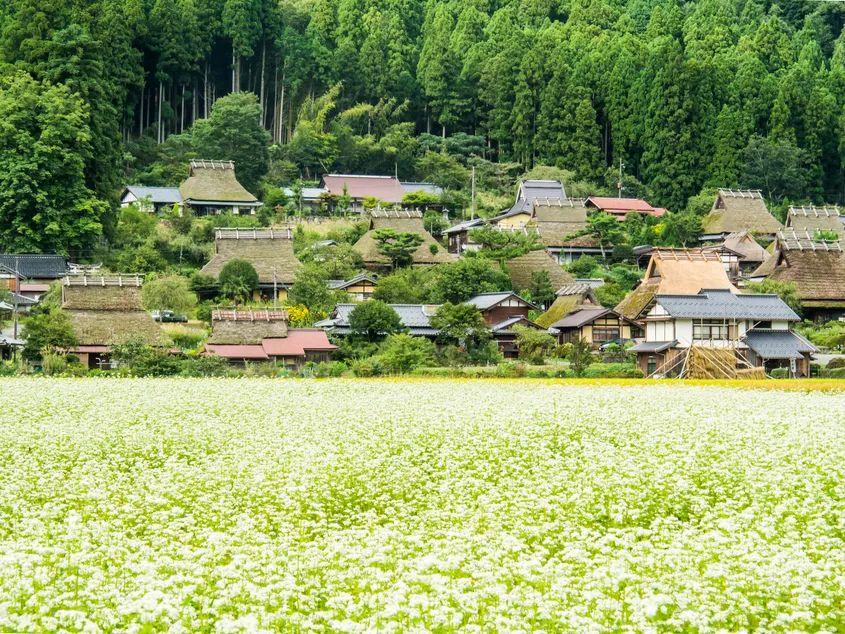 全球古村改造 | 从日本美山町到皖南西溪 - 知乎
