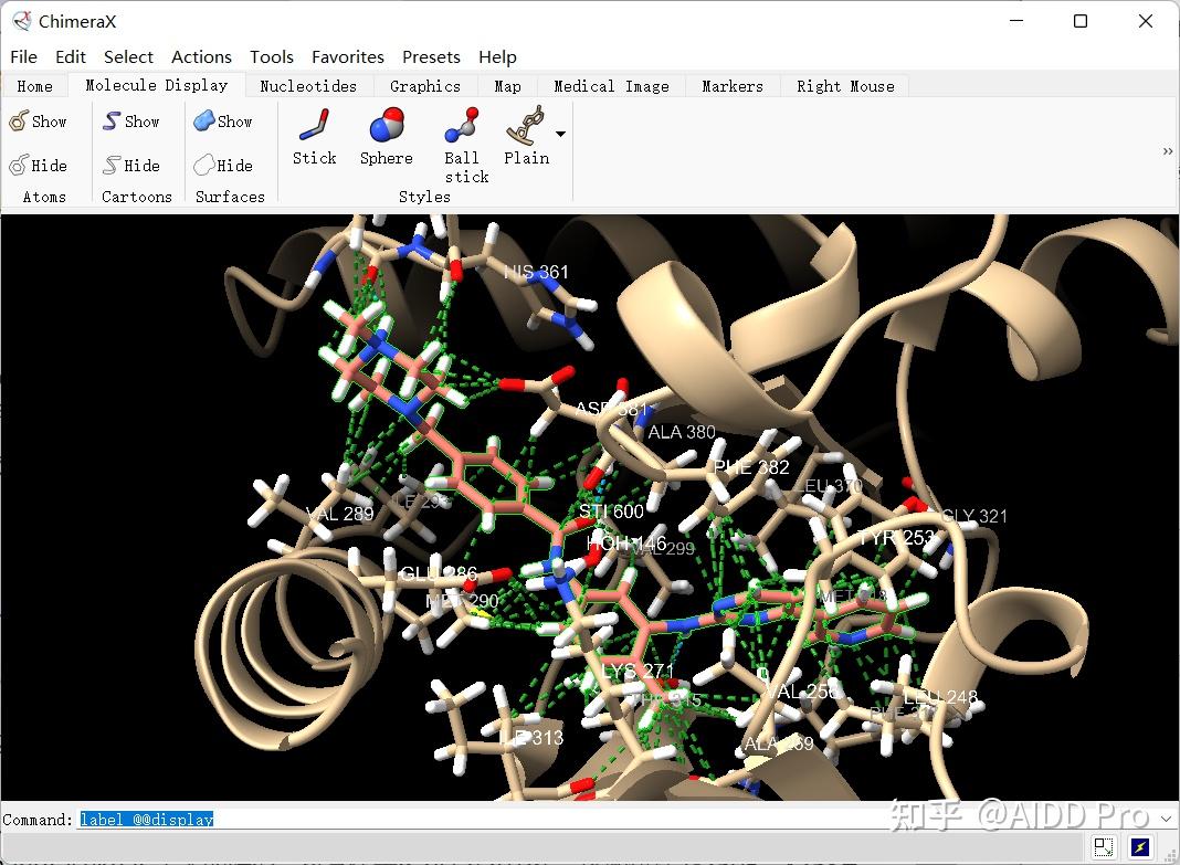 手把手教你使用ChimeraX进行蛋白-配体相互作用的分析与绘图（中篇） - 知乎