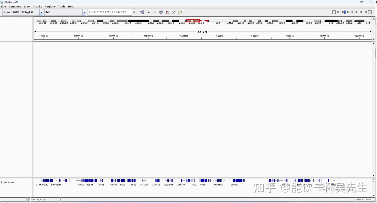 本地电脑使用远程IGV服务器版 How to use remote IGV on your local machine - 知乎