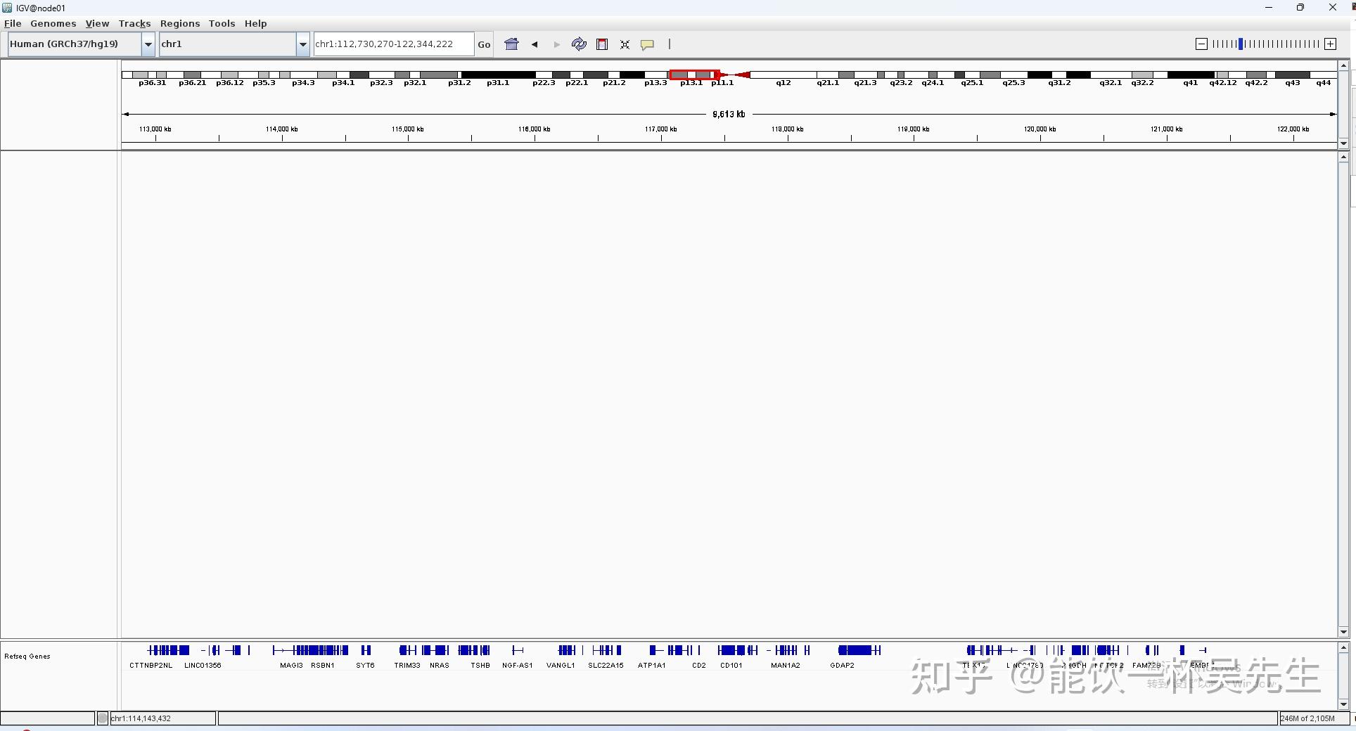 本地电脑使用远程IGV服务器版 How to use remote IGV on your local machine - 知乎