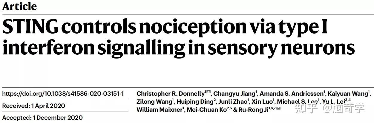 Nature重磅！纪如荣团队阐明感觉神经元中STING/IFN-I信号通路对疼痛的调控机制 - 知乎