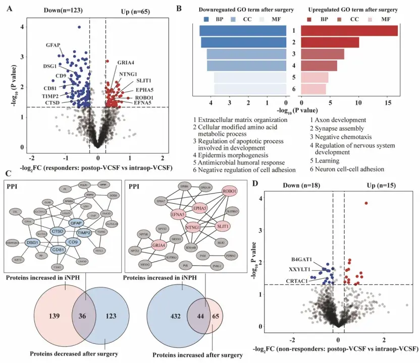 欧米合作｜J. Adv. Res：iNPH的脑脊液蛋白质组学研究与手术预后预测 - 知乎