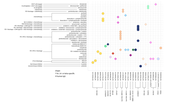 新一代4-1BB激动剂的开发 ：旨在更安全、有效 - 知乎