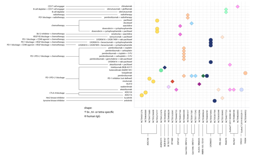 新一代4-1BB激动剂的开发 ：旨在更安全、有效 - 知乎