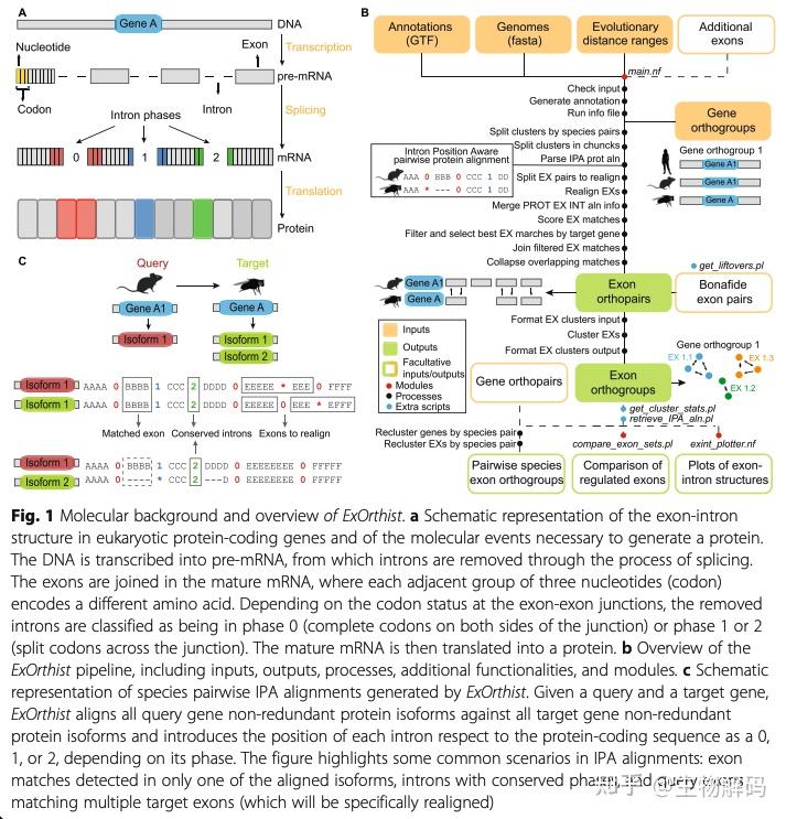 每日文摘 | 2021年08月23日 - 知乎