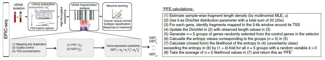 Nature子刊发表里程碑式原创技术｜基于cfDNA片段特征预测RNA表达！降低对肿瘤组织活检的依赖 - 知乎