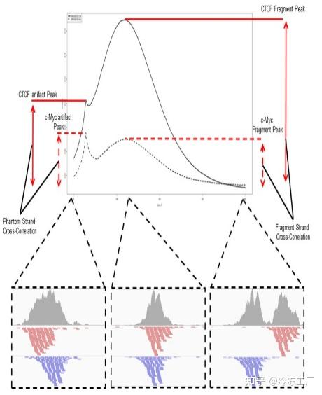 ChIP-seq 分析：评估片段长度与处理（6） - 知乎
