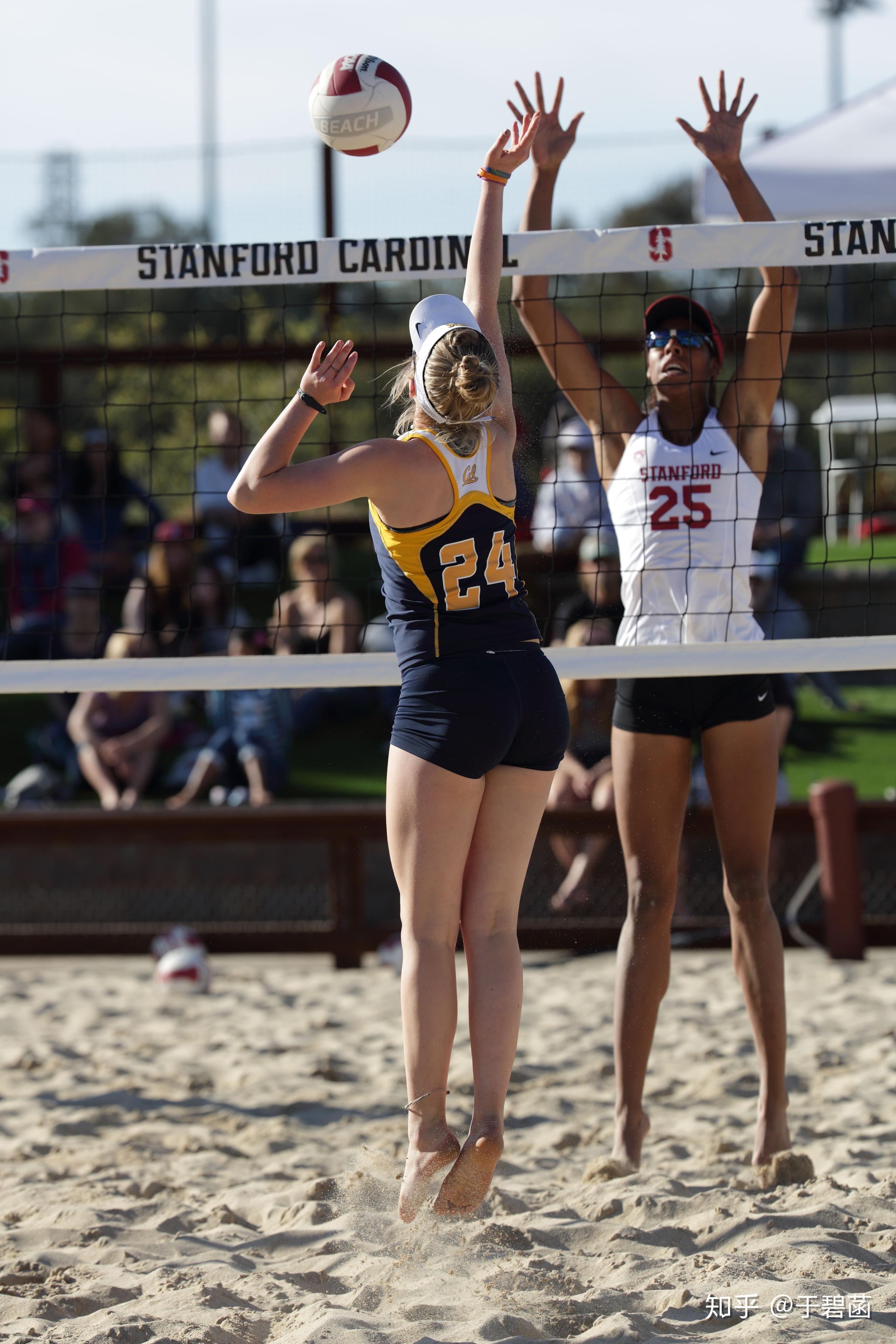 NCAA知多少 | NCAA有多少运动项目 - 知乎