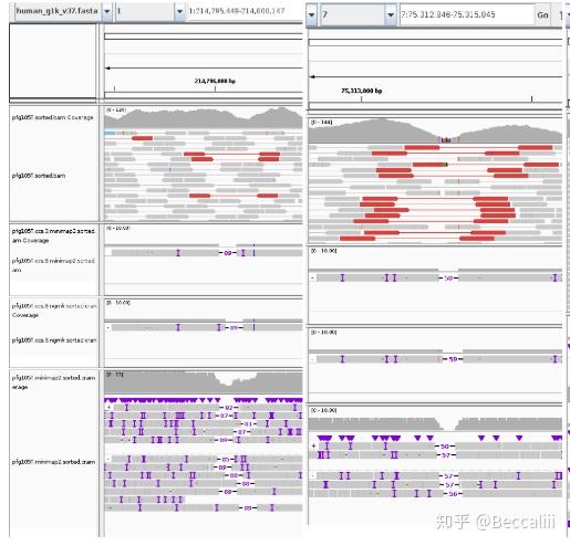 服务器安装IGV并在本地电脑使用 - 知乎