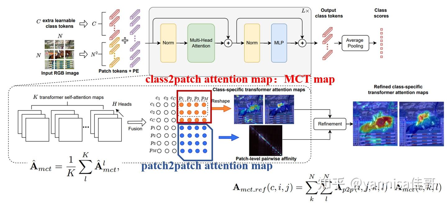 MCTformer:Multi-class Token Transformer for Weakly supervised Semantic Segmentation(CVPR2022) - 知乎
