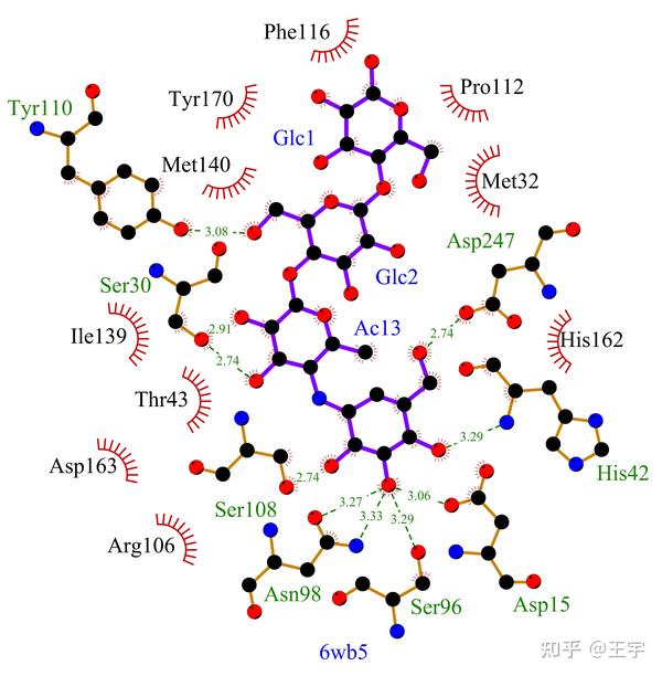 蛋白-配体2D相互作用工具：Ligplot+ & Proteins Plus - 知乎