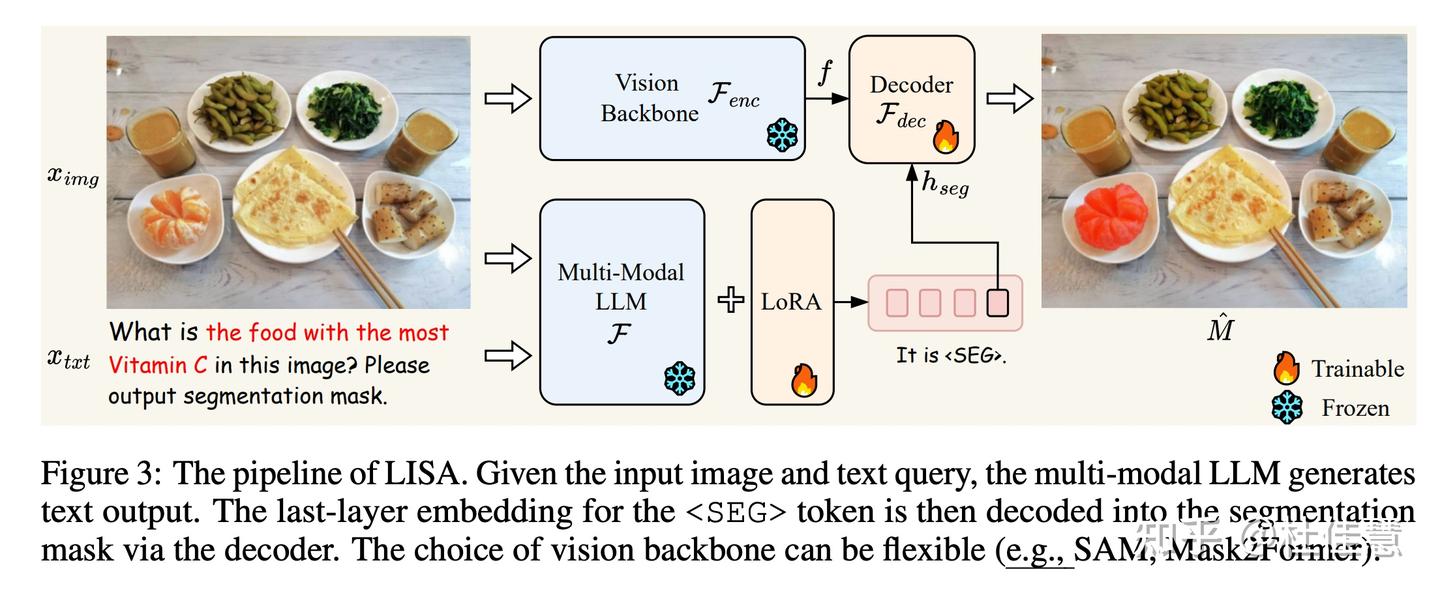 LISA: REASONING SEGMENTATION VIA LARGE LANGUAGE MODEL - 知乎