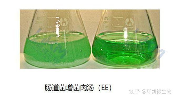 GB4789-6-2016 致泻大肠埃希氏菌检验及注意事项 - 知乎