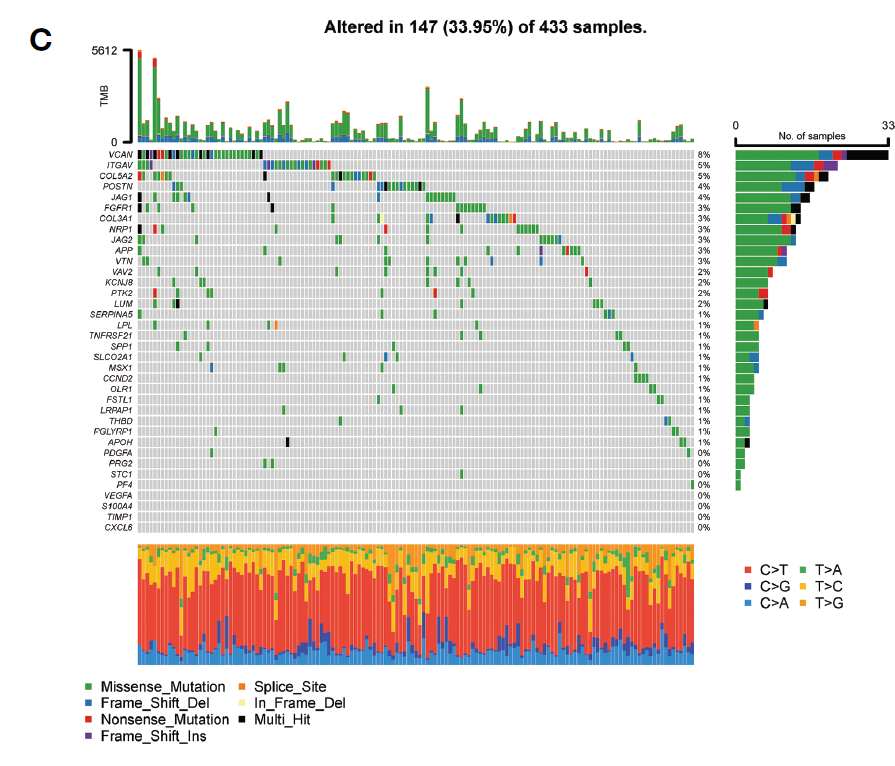 【R实战】使用maftools复现SCI文章中的体细胞突变瀑布图 - 知乎