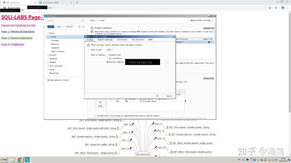 揭秘Brup Suite轻松捕捉本地数据包技巧，127.0.0.1/localhost域名（地址）抓包方法，chrome与edge抓包失败原因解析 - 知乎