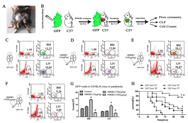 美国微生物协会官方杂志丨HMGB1逆转晚期脓毒症的免疫麻痹 - 知乎