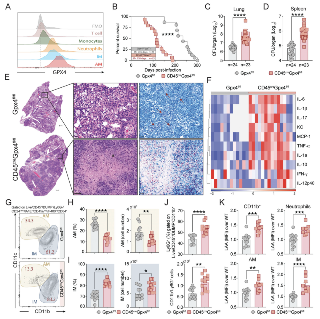 免疫学顶刊JEM丨GPX4-结核病-细胞死亡丨从临床到基础 - 知乎