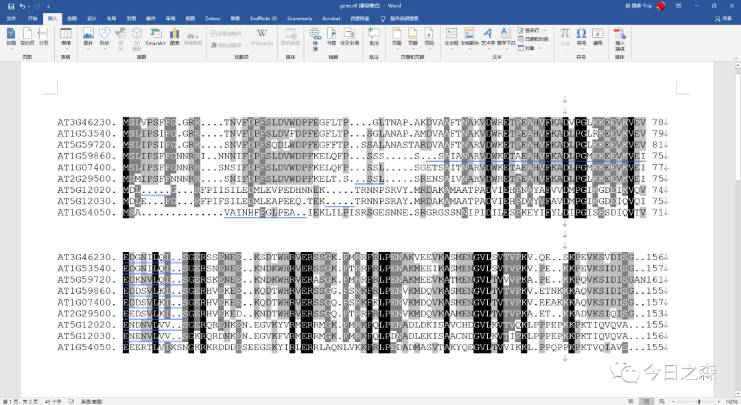 GeneDoc软件 | 让你毕业论文中的多序列比对结果清晰到爆 - 知乎