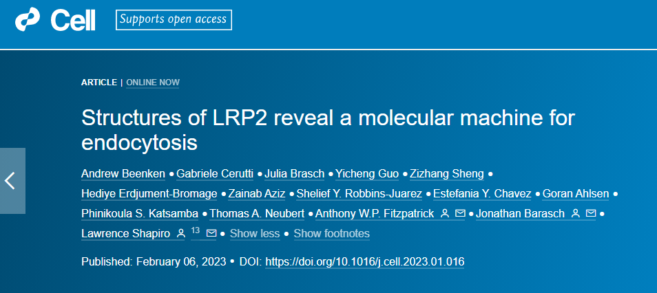 基于冷冻电镜解析发现，首个最清晰的LRP2蛋白结构亮相Cell，有望为阿尔茨海默病等提供新靶点 - 知乎