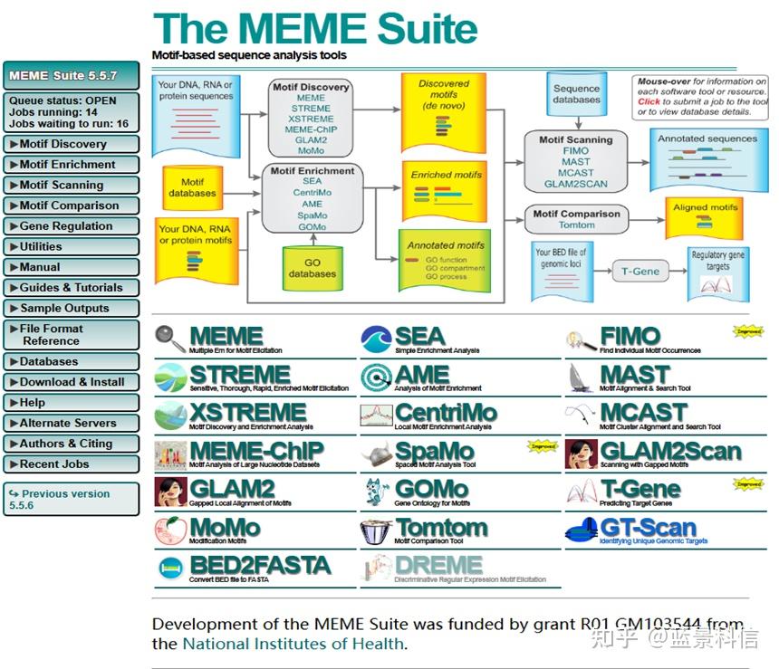 motif分析工具——MEME-CHIP - 知乎