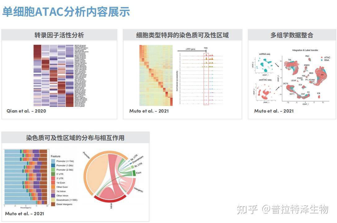 “多组学+实验”助力基础科研 - 知乎
