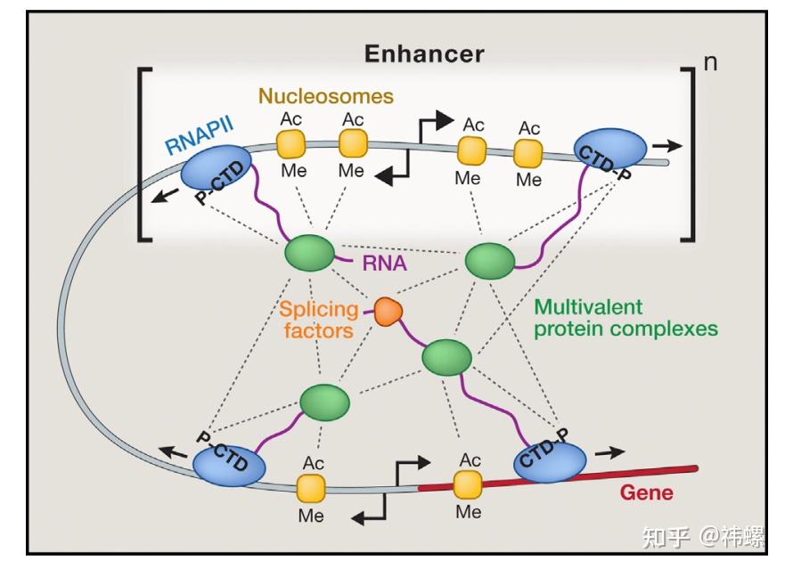 相分离相关综述（2） - 知乎