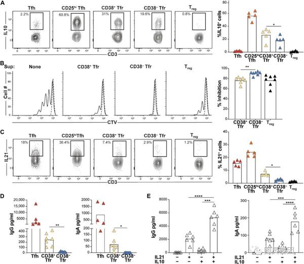 Sci Immu | 人类滤泡辅助T细胞克隆, 功能和位置异质性与免疫机制 - 知乎
