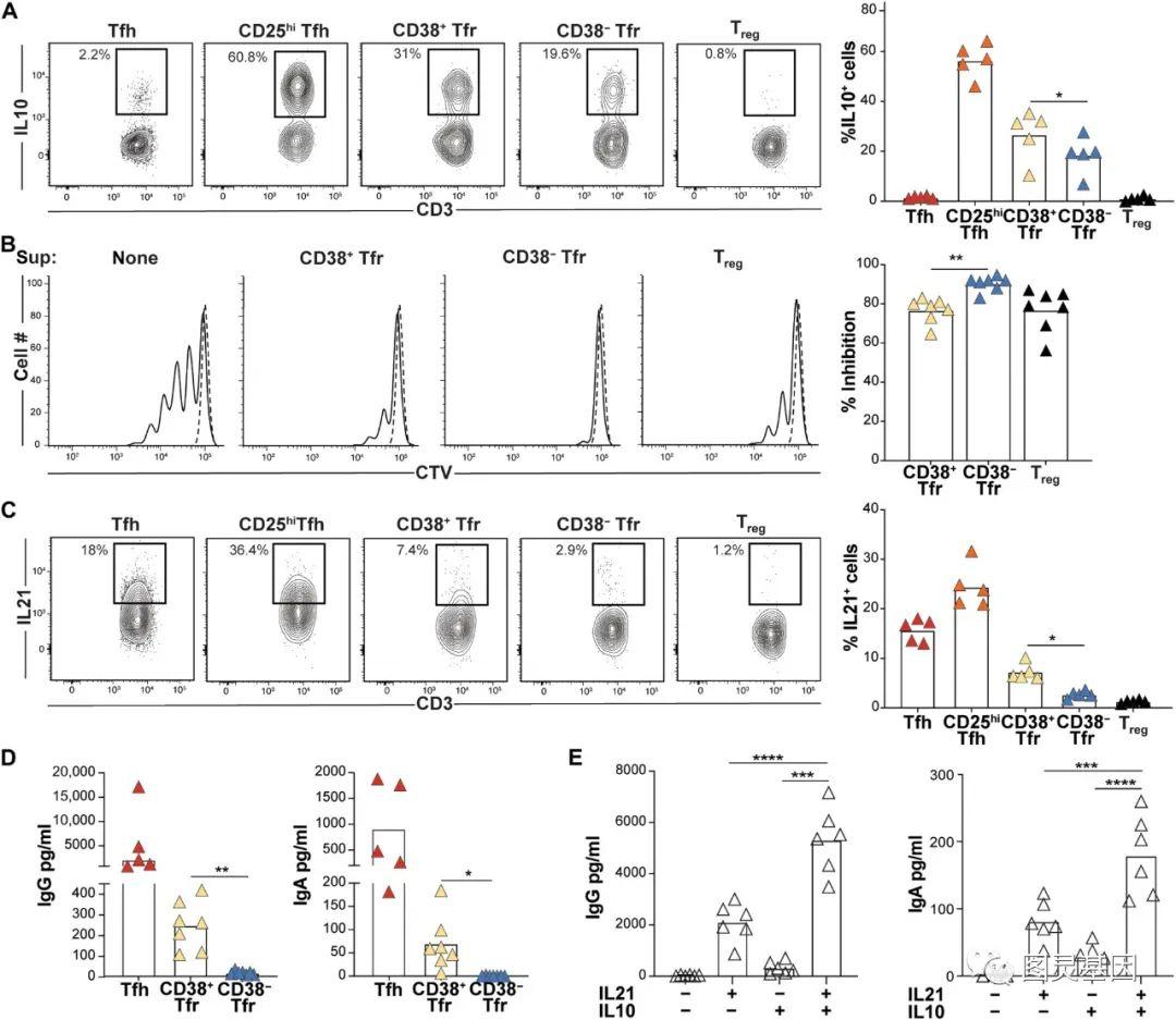 Sci Immu | 人类滤泡辅助T细胞克隆, 功能和位置异质性与免疫机制 - 知乎
