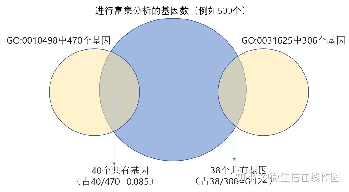 将GO、Pathway富集结果整合在一张高颜值圆圈图上 - 知乎