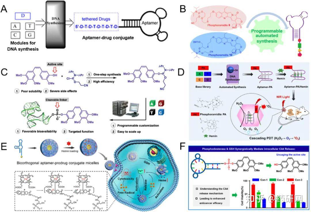 万物皆可偶联之适配体偶联药物（ApDC） - 知乎