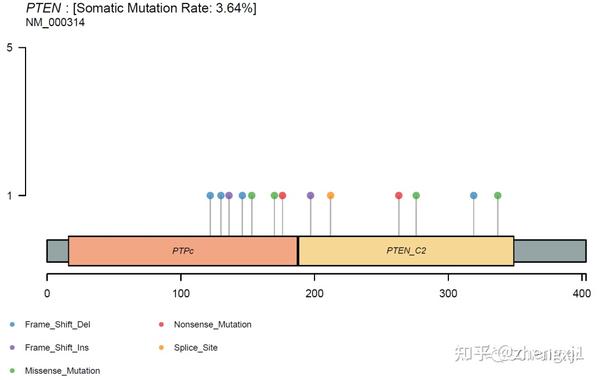 突变处理maf - 知乎