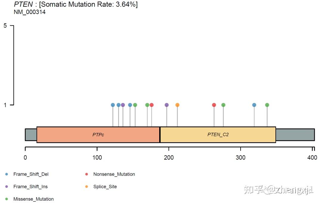 突变处理maf - 知乎