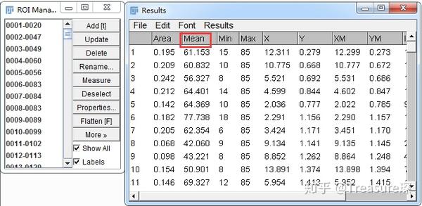 ImageJ实用技巧——单个细胞平均荧光强度自动检测(定量分析篇) - 知乎