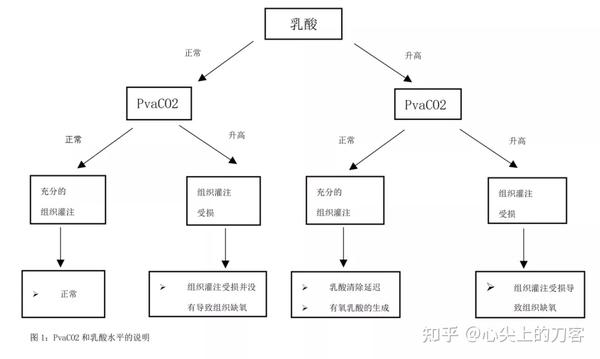 组织灌注指标：目标复苏的触发因素 - 知乎