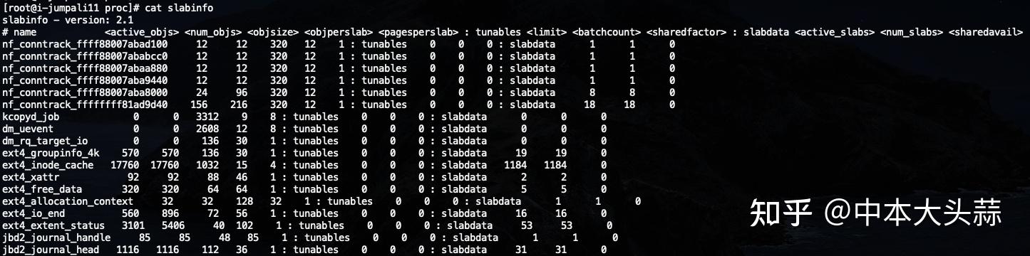 Linux procfs内容大汇总（1） - 知乎