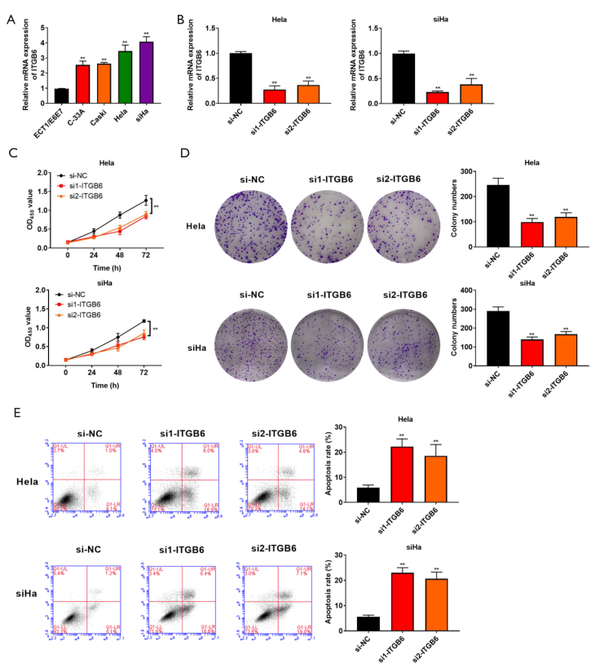 文献精读{分子+通路}：1表达差异 - 知乎